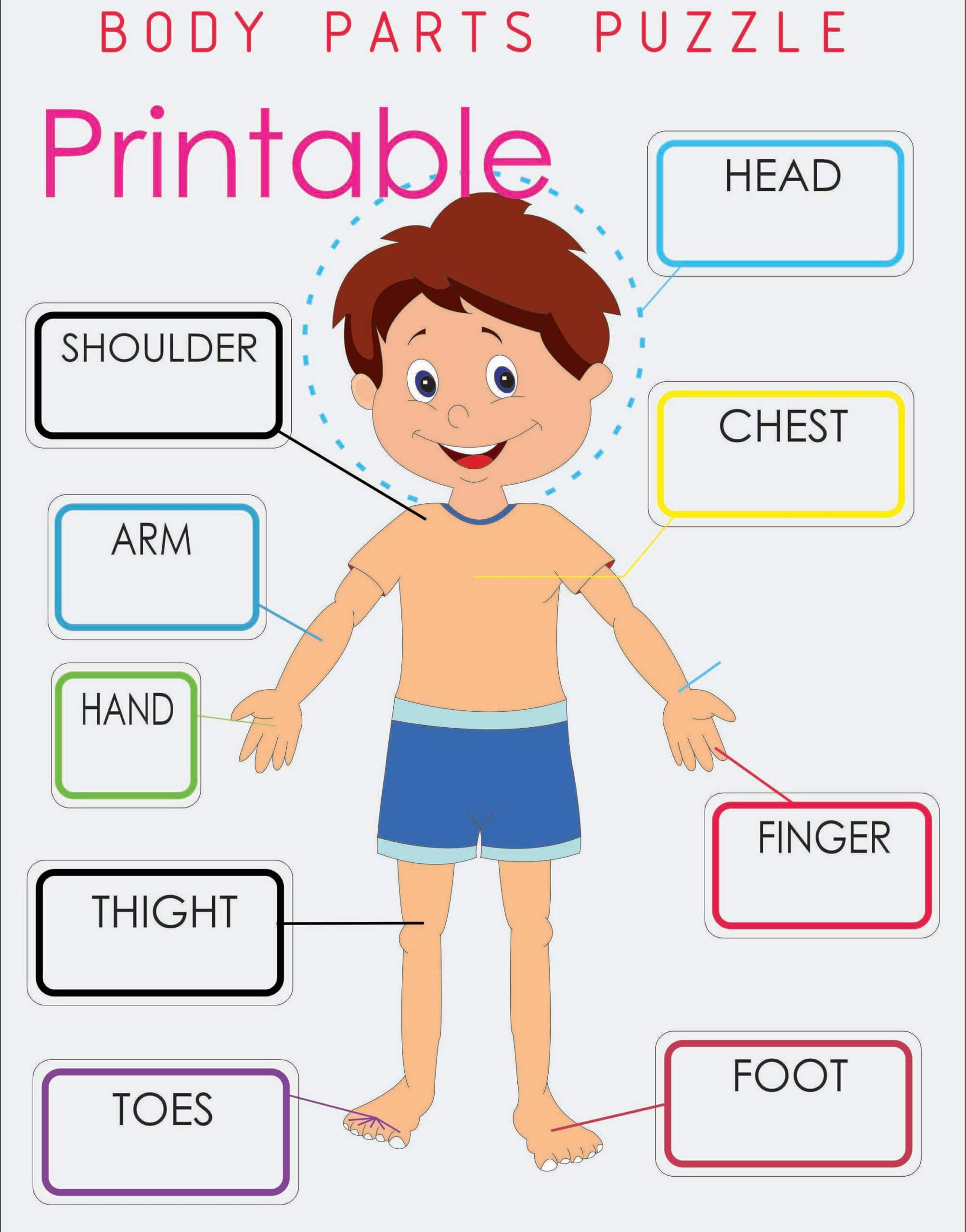 Parts Of Body Puzzle Printable Montessoriseries Parts Of Body Puzzle Printable Montessoriseries